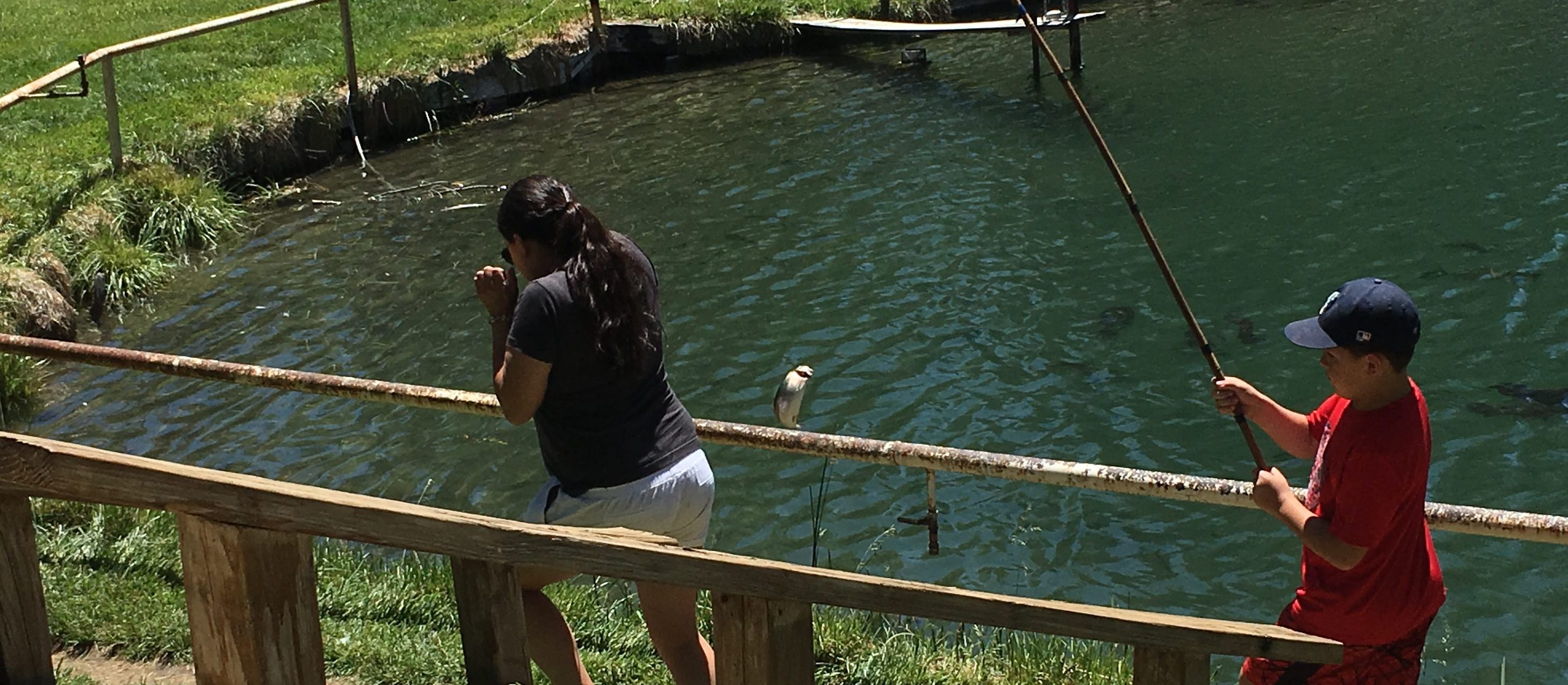 Home - Seeping Springs Trout Lakes and RV Park